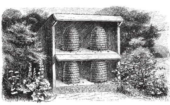 How to Build a Bee Skep - Modern Farmer