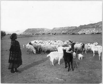20 Grand Old Goat Photos - Modern Farmer