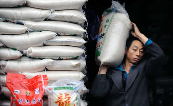 Golden Rice: A Brief Timeline of The World's Most Controversial Grain ...