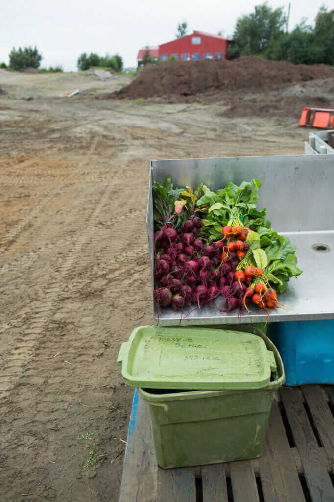 Permafrost Farming: It's Possible! - Modern Farmer