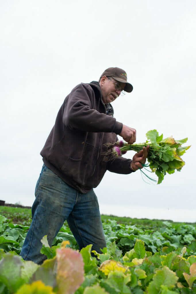 Permafrost Farming: It's Possible! - Modern Farmer
