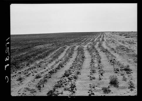 13 Vintage Photos of the Dust Bowl - Modern Farmer