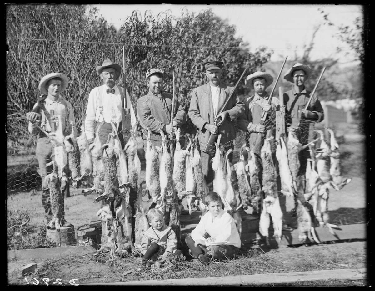 11 Vintage Photos of Rascally Rabbits - Modern Farmer