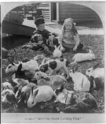 11 Vintage Photos of Rascally Rabbits - Modern Farmer