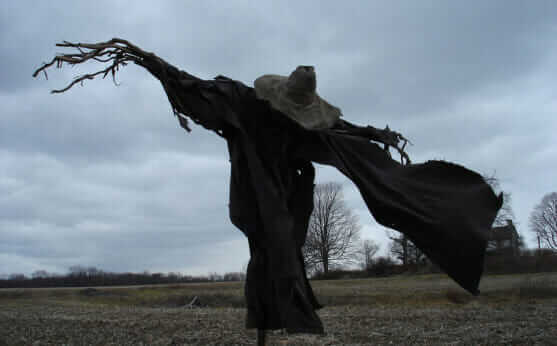 Hay, Man: The Curious Life and Times of Scarecrows - Modern Farmer