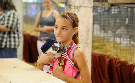 Bikini Bunnies: The Glorious Rabbit Costume Contest - Modern Farmer