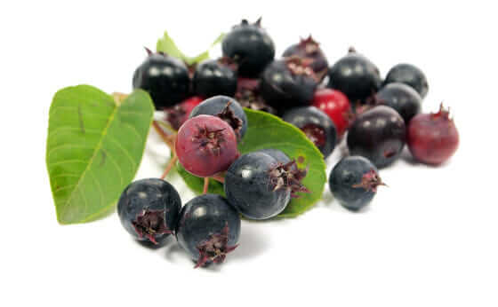 Close Up: Juneberries - Modern Farmer