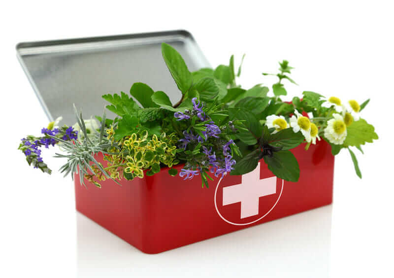 How To: Create a Farm-Fresh First Aid Kit - Modern Farmer