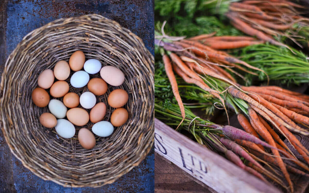 Review: Growing Beautiful Food - Modern Farmer