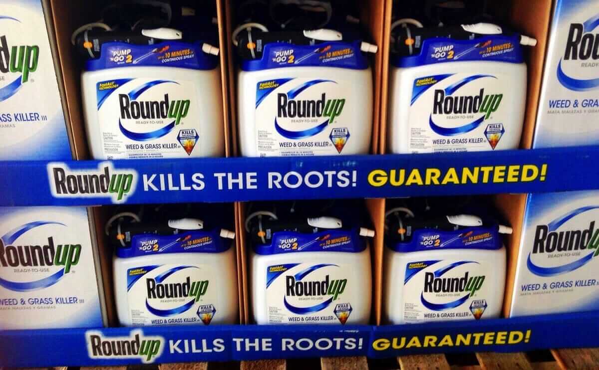 Monsanto Is Trying To Become The Biggest Company In The History Of ...