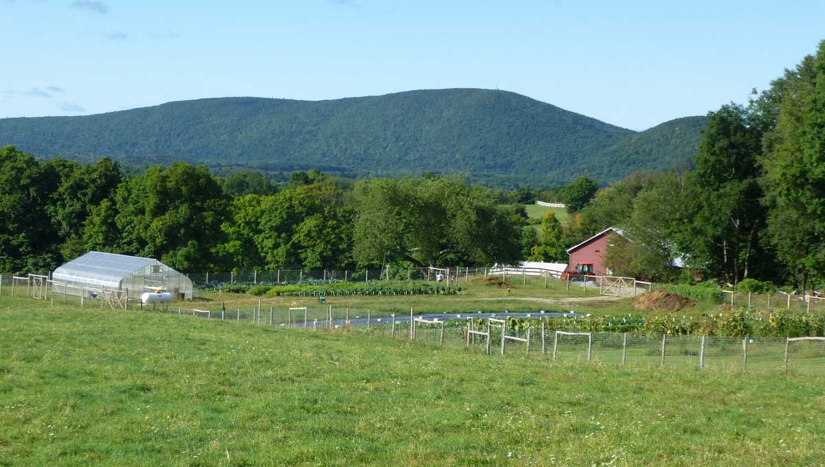 At Sky High Farm, Everything That's Grown Goes to Food Banks - Modern ...