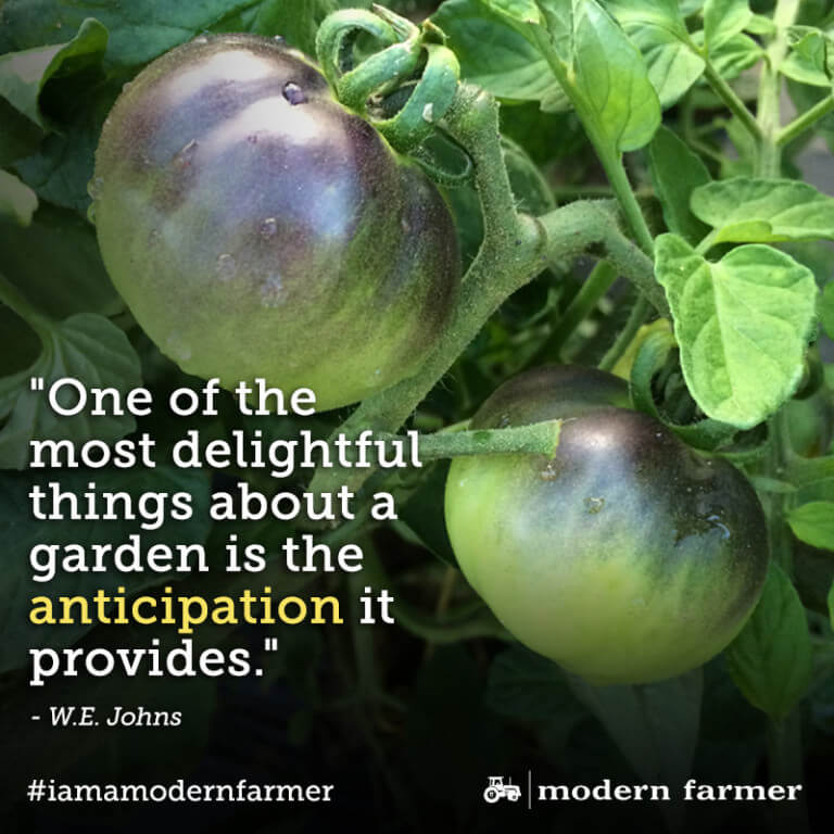 10 Quotes That'll Help You Fall Back in Love with Farming - Modern Farmer