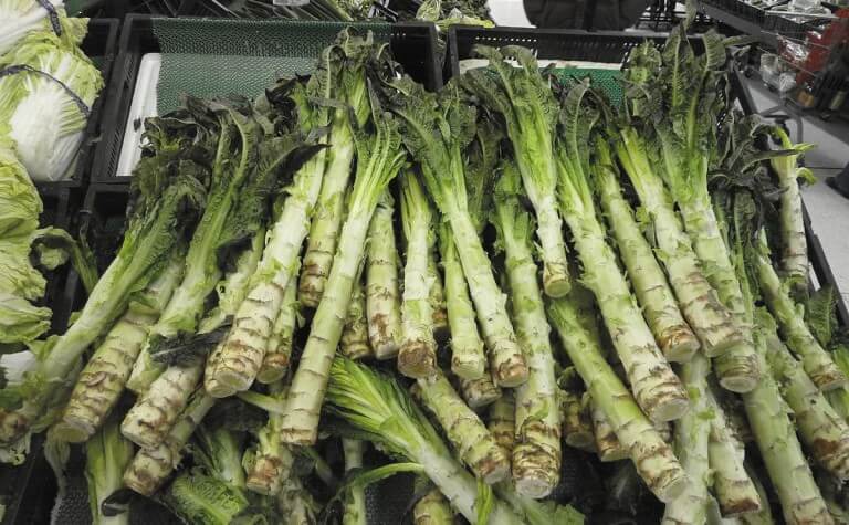 Meet The Vegetable: Celtuce, a Mutant and Delicious Lettuce - Modern Farmer