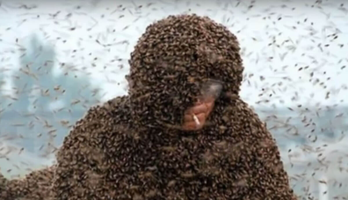 Video: Man Covers Body in 242 Pounds of Bees, Is Fine - Modern Farmer