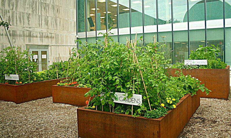 Take a Tour of the UN's Small-Scale and Diverse Food Gardens - Modern ...