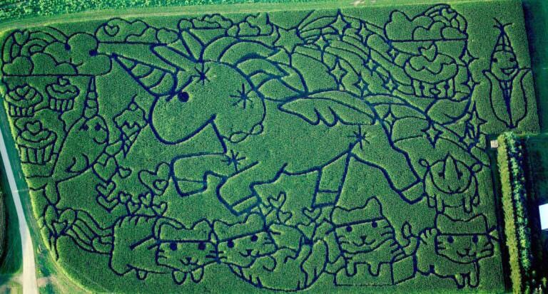 5 Unusual Corn Mazes You Have to Visit This Fall - Modern Farmer