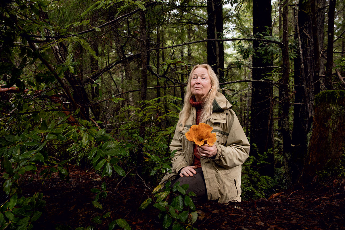 Mushroom Foraging: Farming the Forest Floor - Modern Farmer