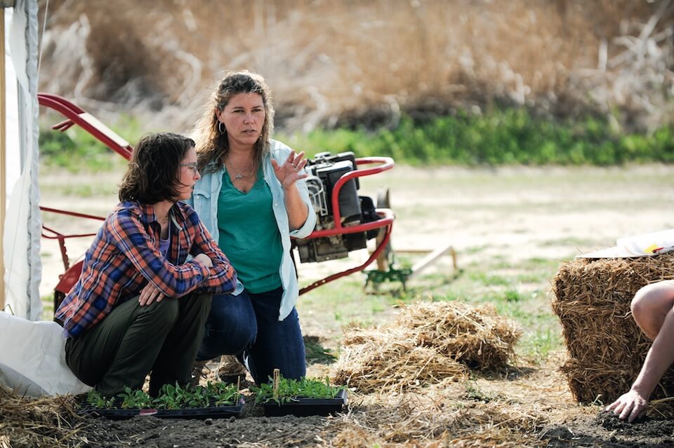 The Current State of Agricultural Education - Modern Farmer