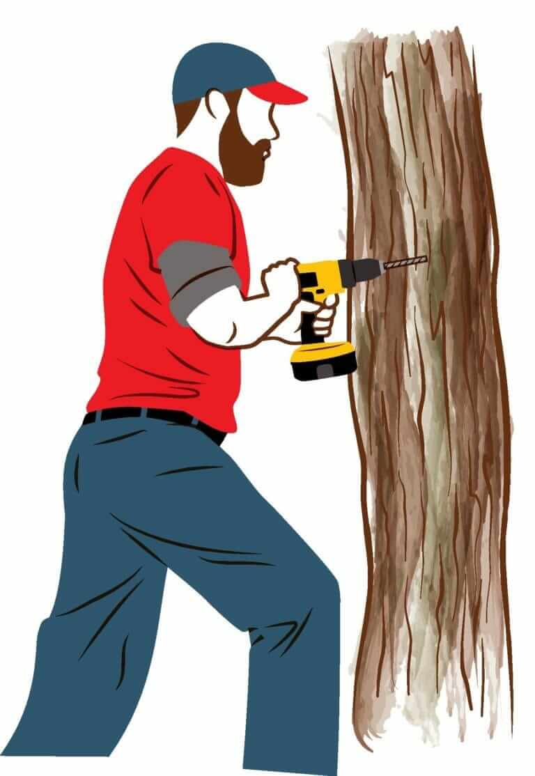 How to Tap Trees for Syrup - Modern Farmer