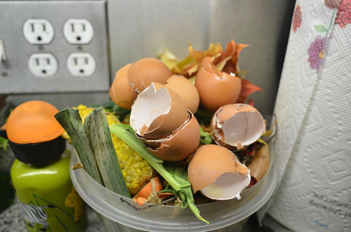 Healthy Diets Lead to More Food Waste, But You Should Still Eat Your ...