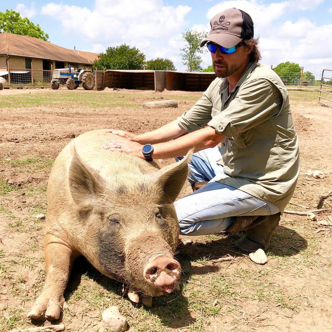 Meet the Modern Farmers: Brittany & Dan Illescas of Central Texas Pig ...