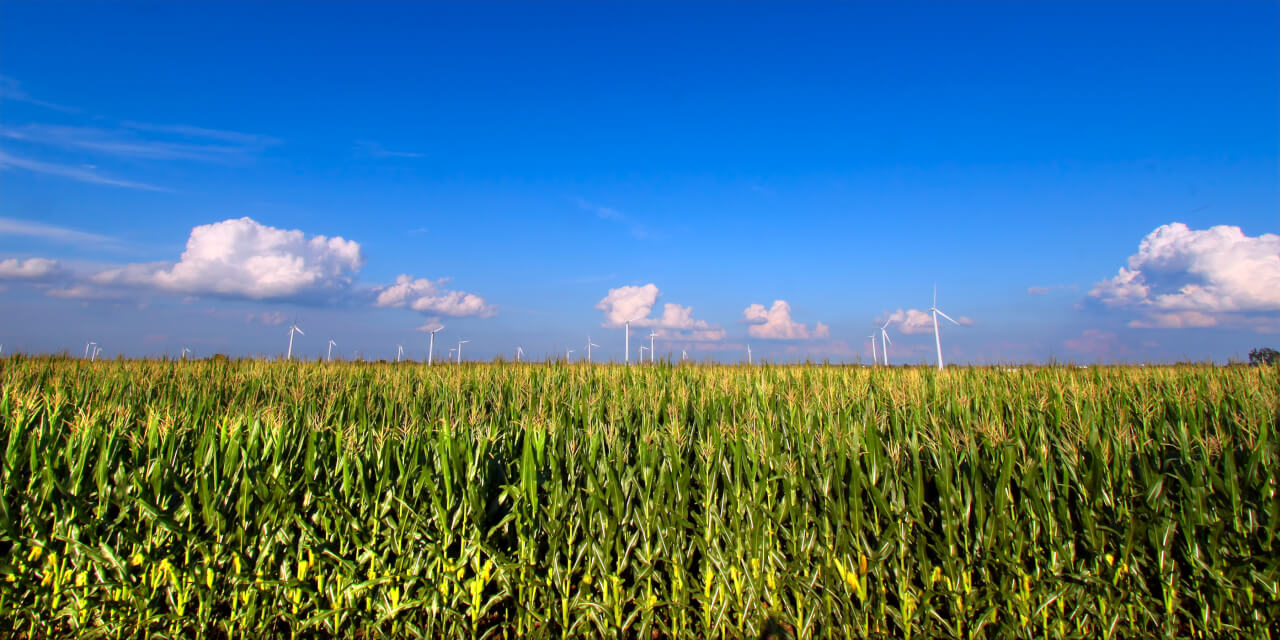 A New System Can Predict Crop Yields Better Than the USDA - Modern Farmer