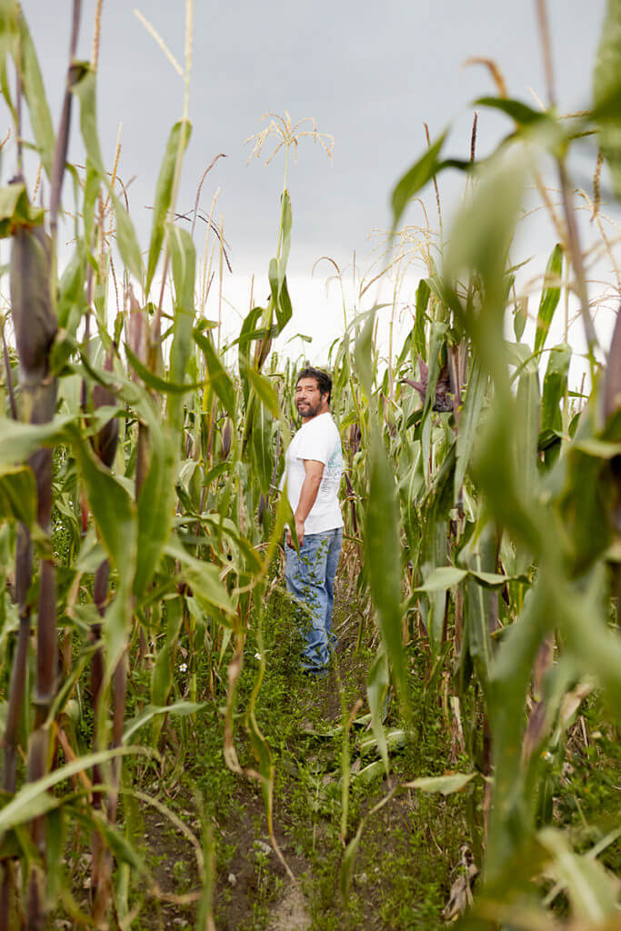 Save the Tortilla - Modern Farmer