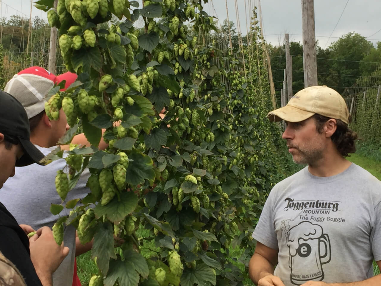 New York Farmers Hope To Discover New Hops - Modern Farmer