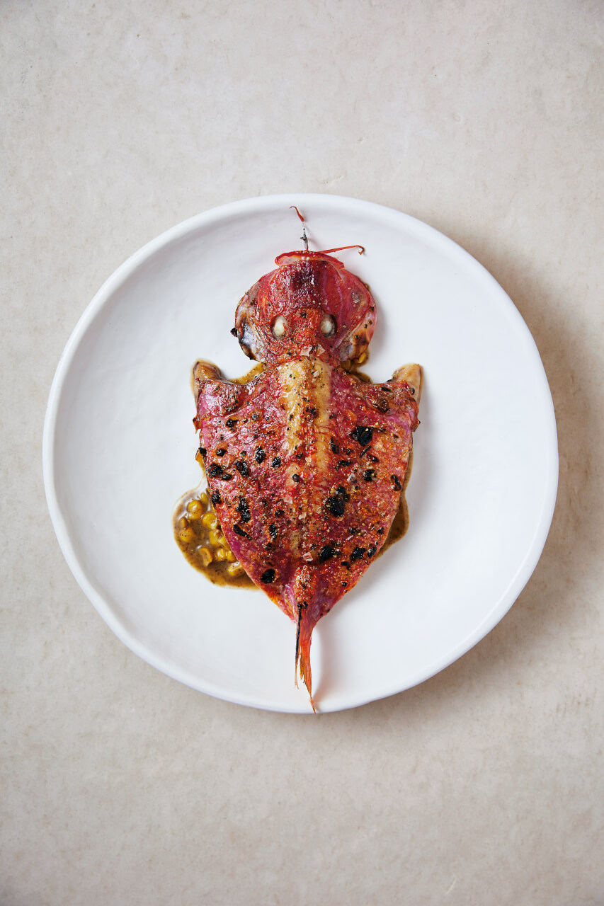 COOK THIS: The Whole Fish Cookbook by Josh Niland - Modern Farmer