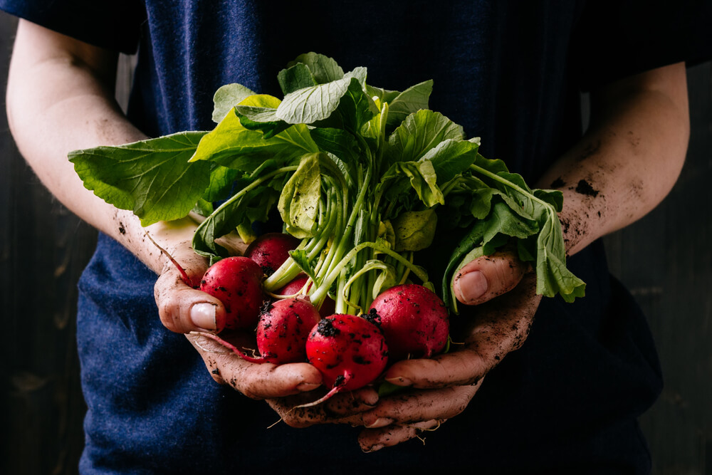 Does Certified Organic Mean What We Think It Does Modern Farmer Does Certified Organic Mean What We Think It Does Modern Farmer