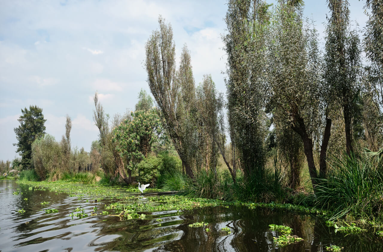PHOTO ESSAY: The Last Floating Farms of Mexico City - Modern Farmer