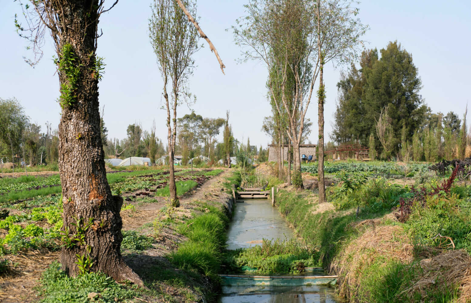 PHOTO ESSAY: The Last Floating Farms of Mexico City - Modern Farmer