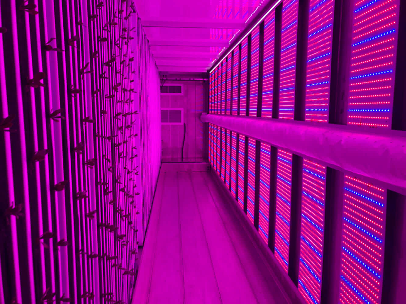 Freight Farms Takes Container Growing to the Next Level - Modern Farmer