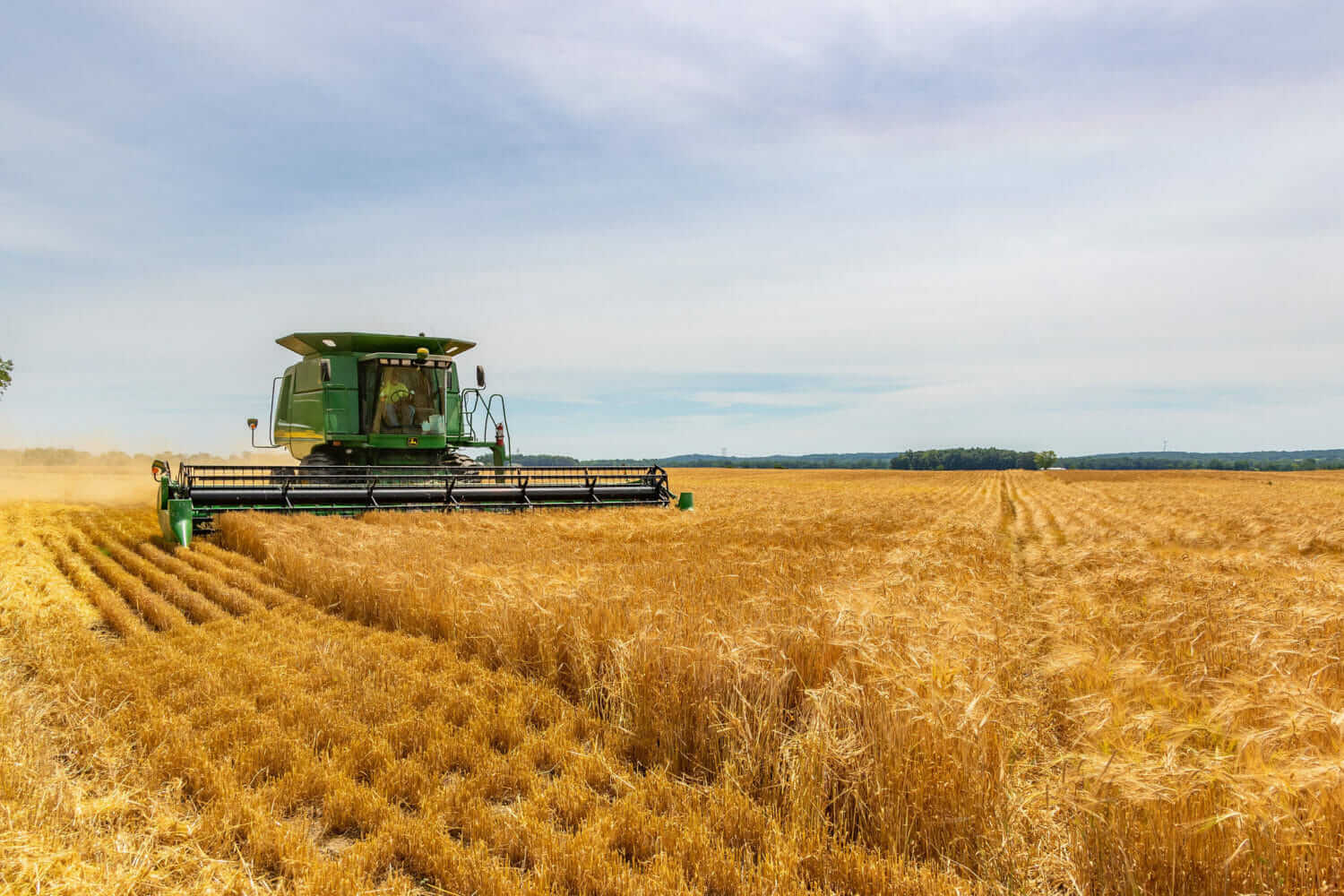 A Century After Prohibition, Barley Makes Inroads in the Midwest ...