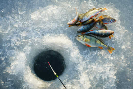The Modern Farmer Guide to Ice Fishing - Modern Farmer