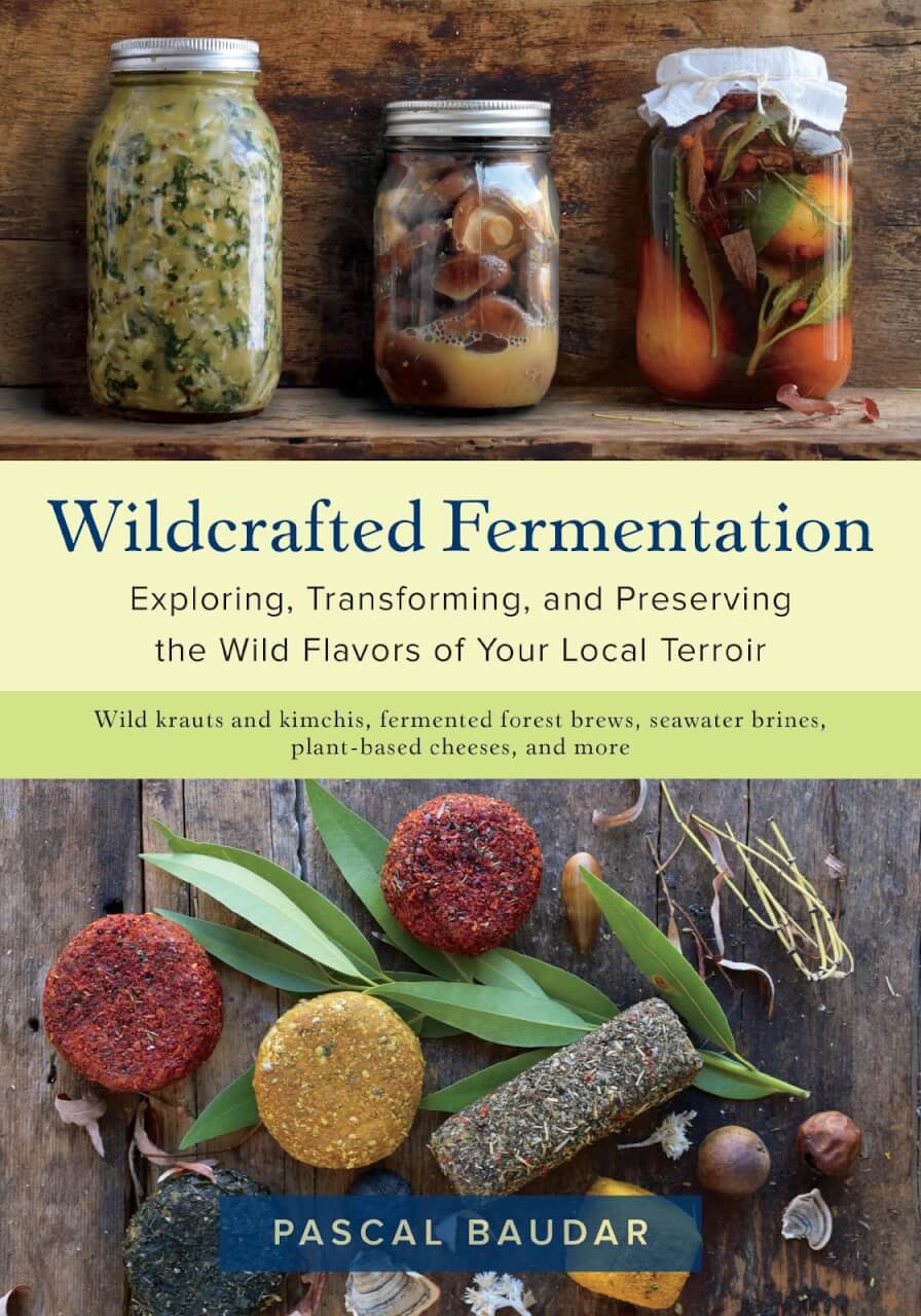 Born to be Wild: Q&A with Master Forager Pascal Baudar - Modern Farmer