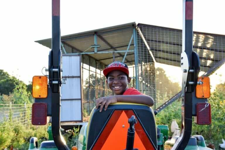 Urban Farm Looks to Tackle Food Insecurity in Dallas Neighborhood ...