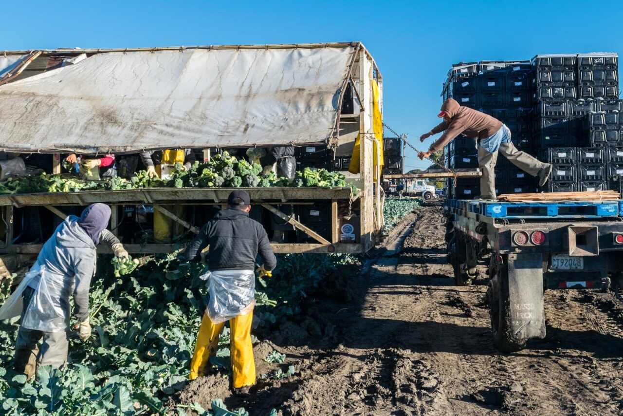 Unsafe Workdays for Farmworkers Could Double by 2050 Due to Climate ...