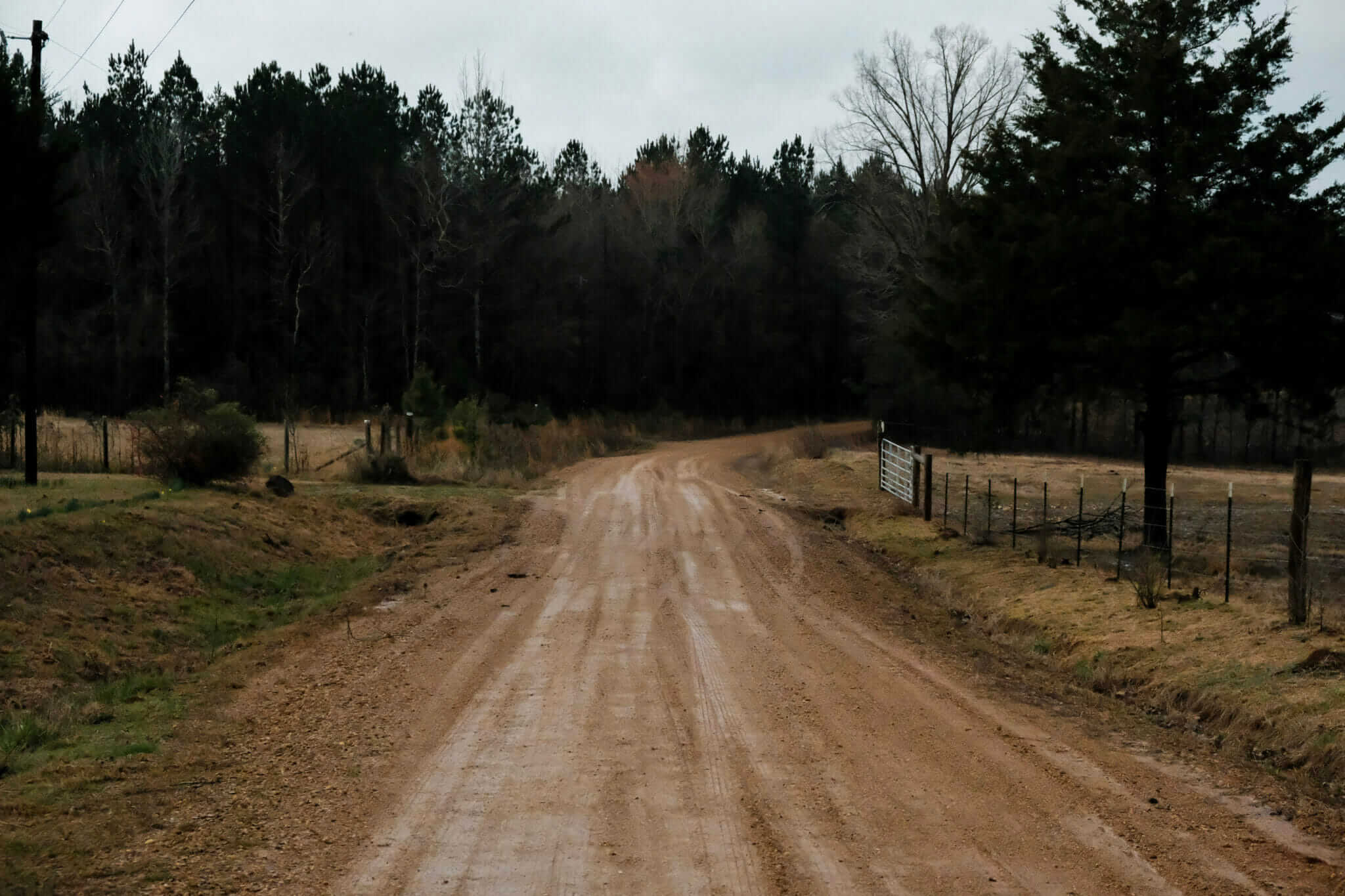 Black Farmers Look to Regain Their Land - Modern Farmer