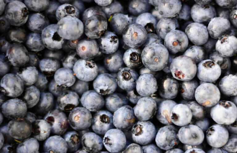 Trump Administration to Investigate ‘Threat’ of Mexican Blueberries ...