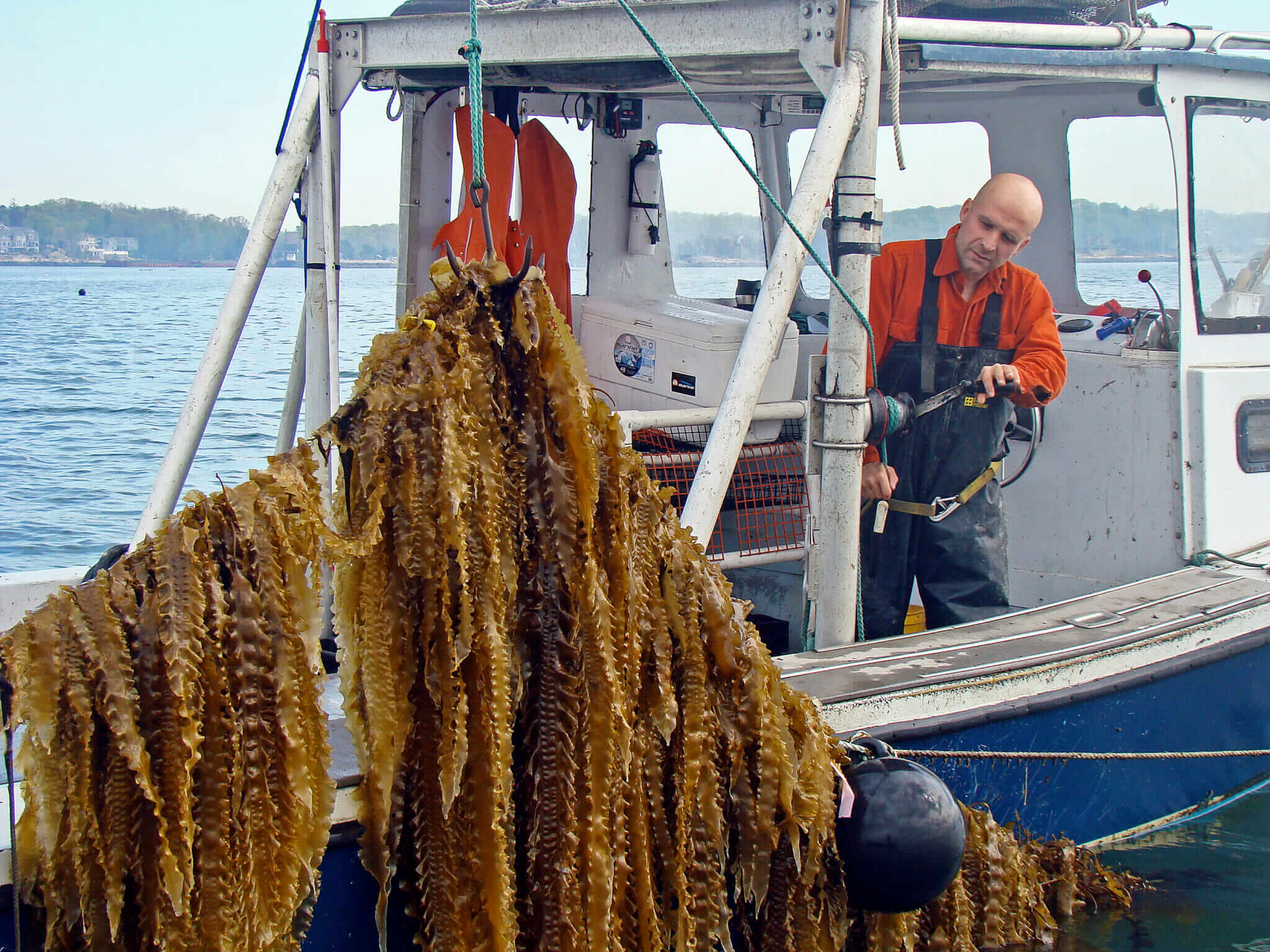 The Future of Ocean Farming - Modern Farmer