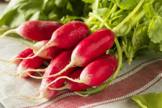 12 Vegetables You Can Still Plant in June - Modern Farmer