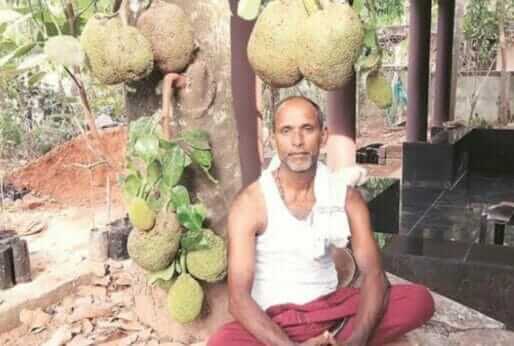 The Man Conserving Jackfruit Diversity in India - Modern Farmer