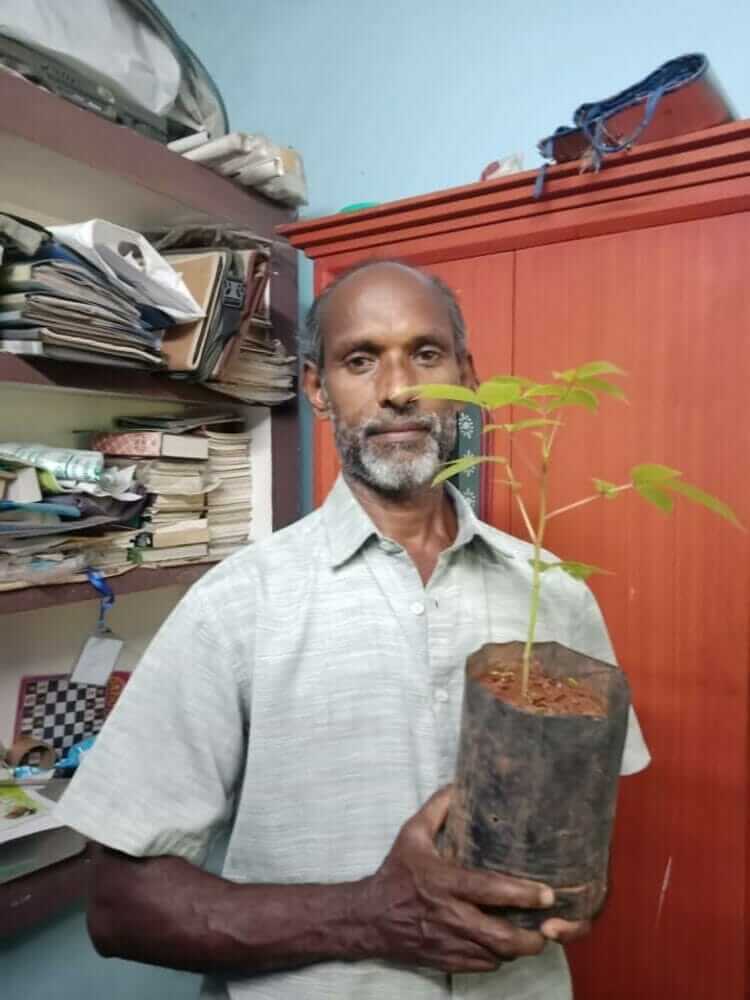 The Man Conserving Jackfruit Diversity in India - Modern Farmer