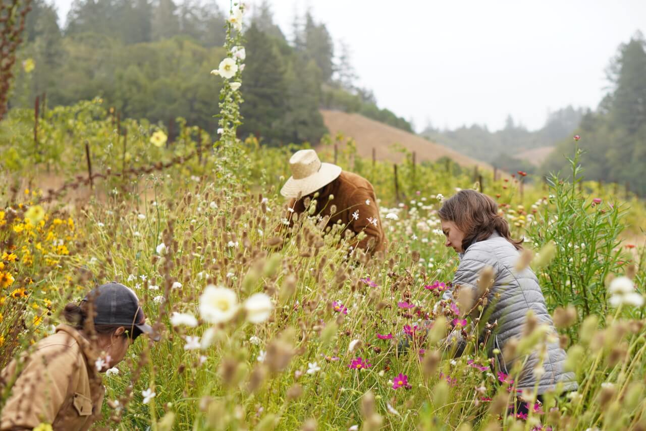 Back to School: Teaching Others to Take Back the Land - Modern Farmer