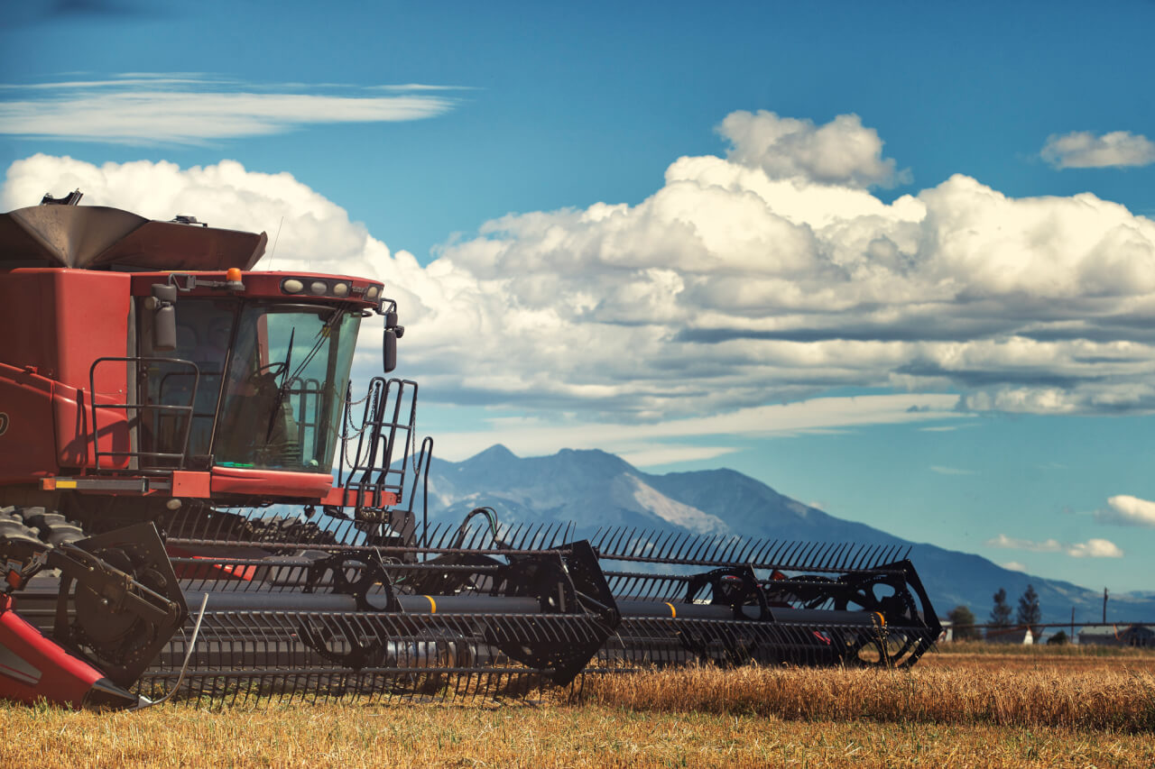 Regional Barley is Fueling a Single Malt Whiskey Renaissance - Modern ...