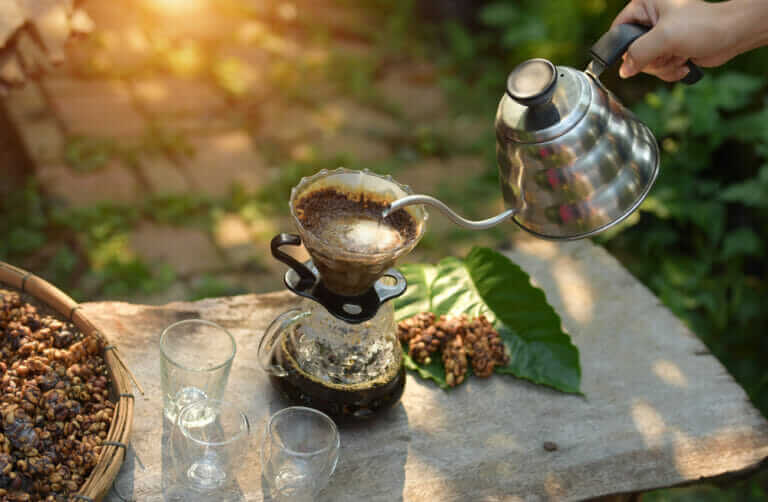 Your Cup of Coffee Is Brought to You By the Birds and the Bees - Modern ...