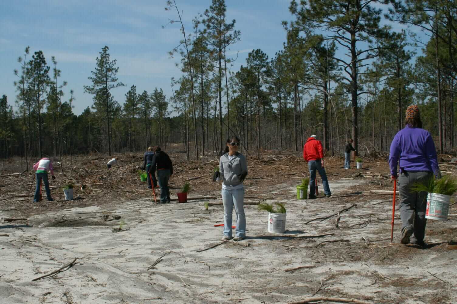 A Look Inside the Lab Helping to Restore America’s Native Plants ...