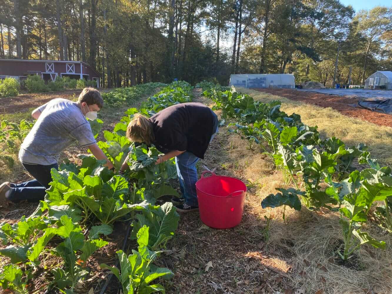 The Prison Garden Empowering Women to Pursue Growth - Modern Farmer