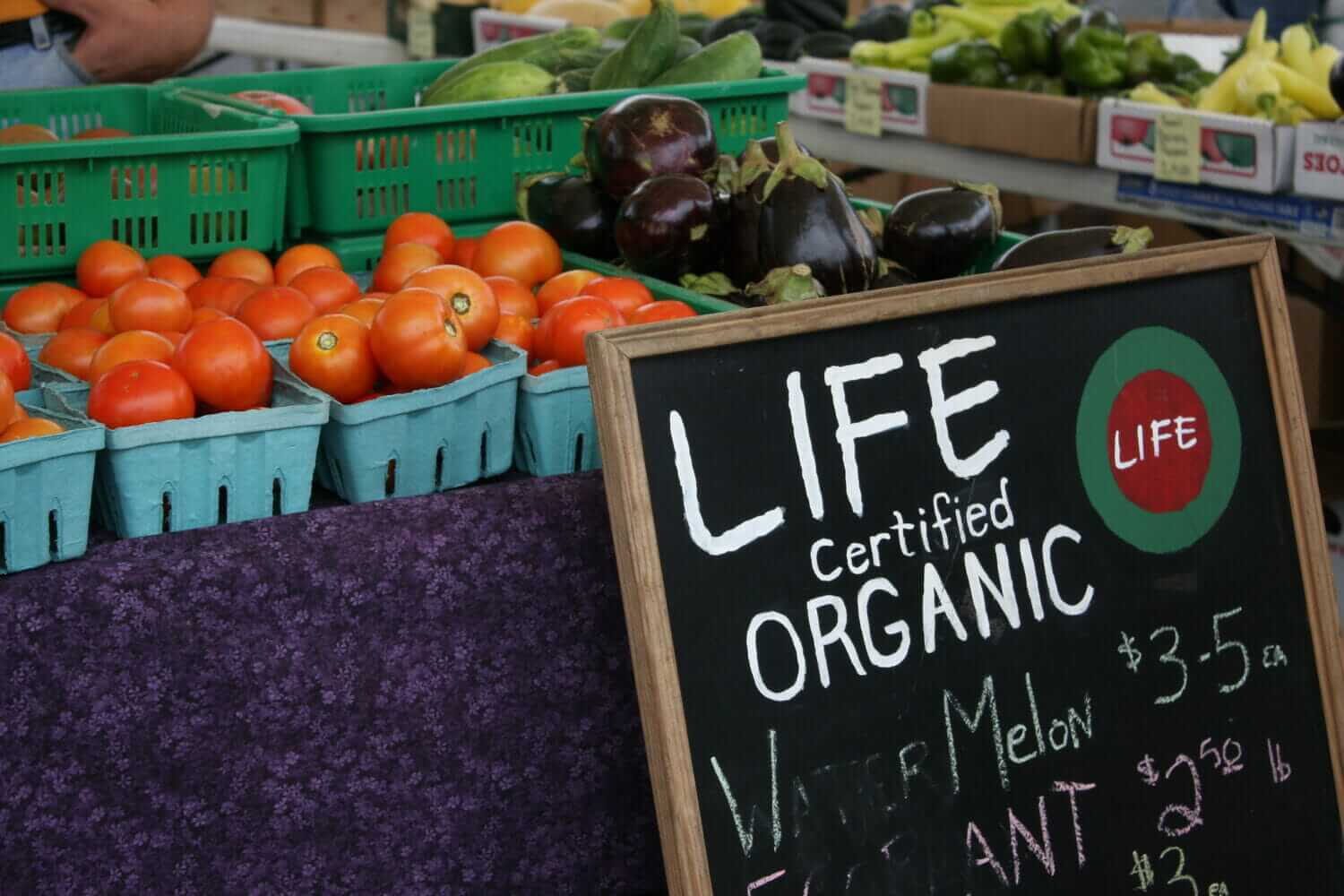 USDA Invests $300 Million to Help Farmers Transition to Organic ...